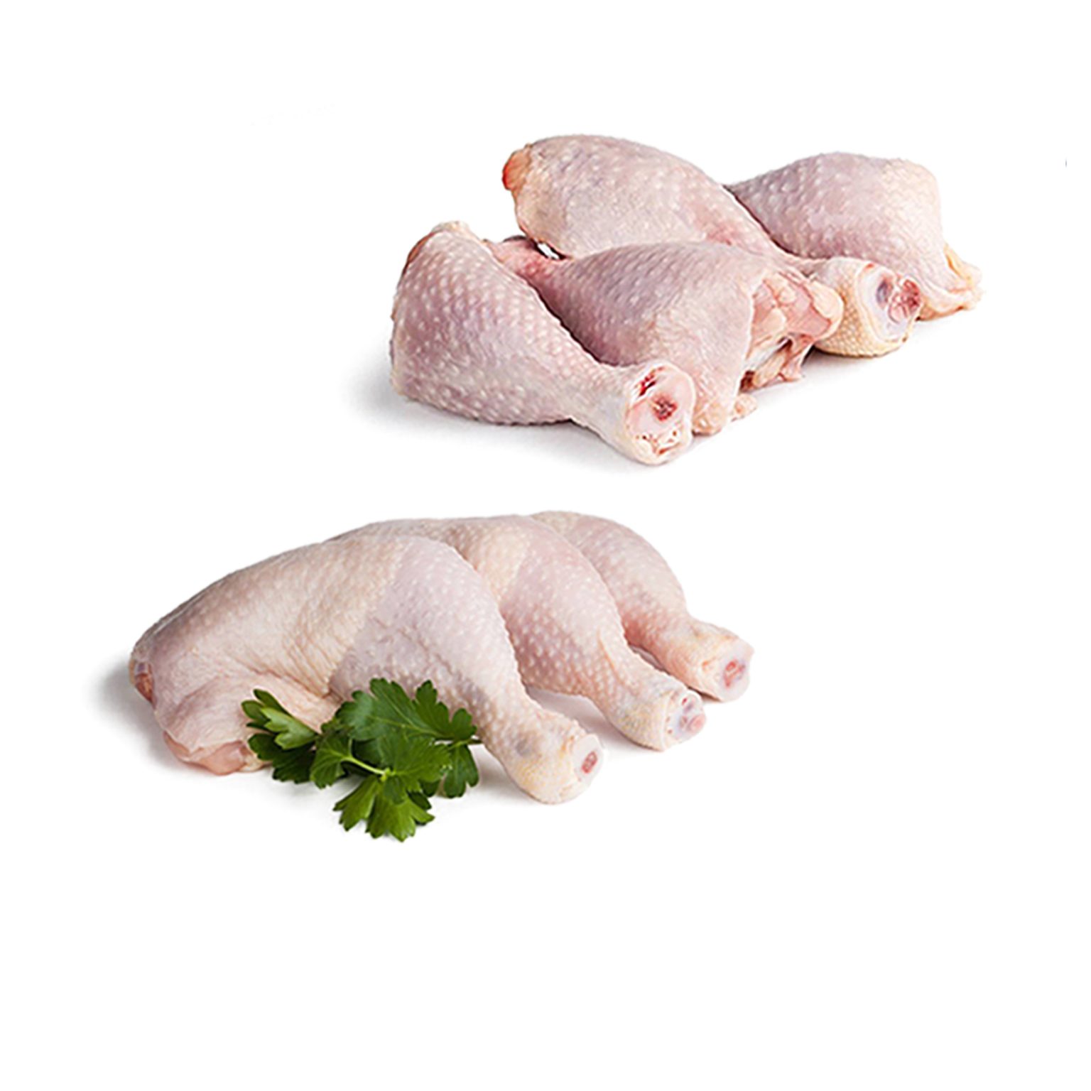 RAPID Multiservice – La Agencia de La Familia Cubana.